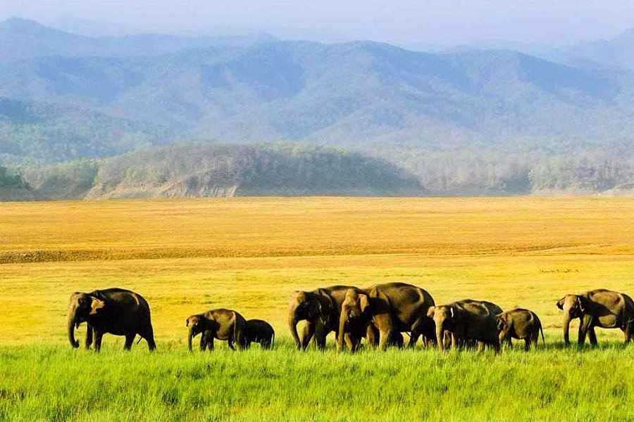 Nainital Jim Corbett Tour Package from Delhi - TrvMe