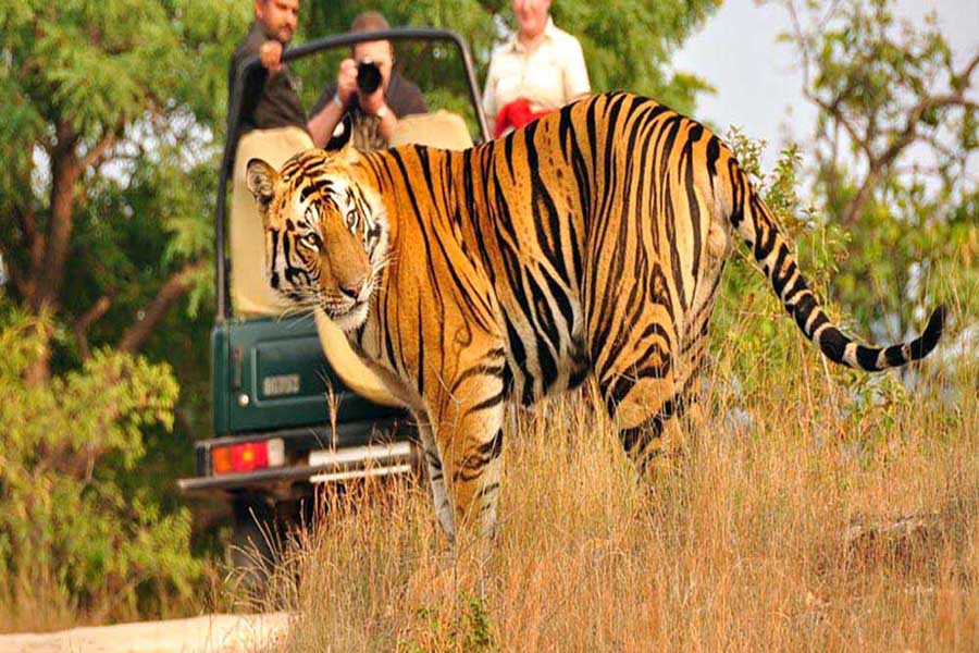 Nainital Jim Corbett Tour Package from Delhi - TrvMe