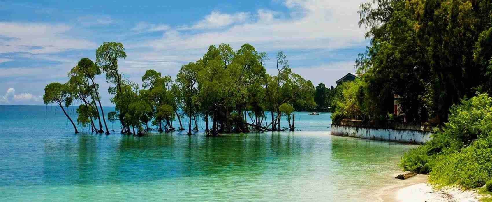 Andaman Tour with Neil Island Packages, Andaman Trip with Neil Island ...