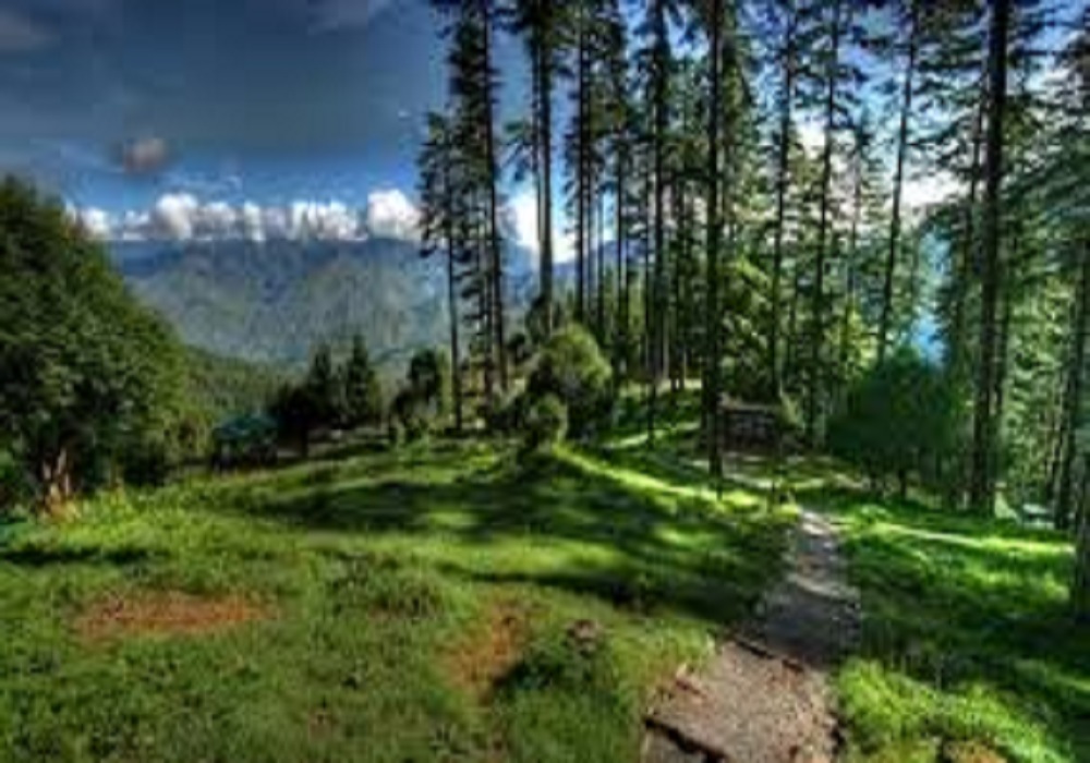 Dhanaulti Birthday Party Packages - TrvMe