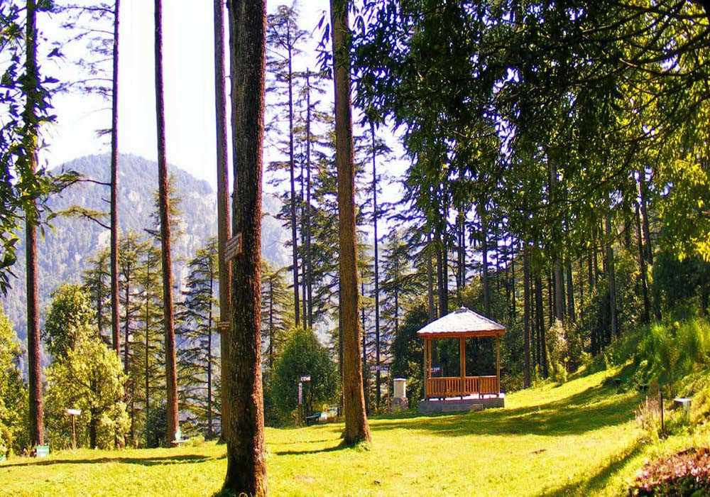 Dhanaulti Couple Package, Dhanaulti Honeymoon Tour Packages - TrvMe