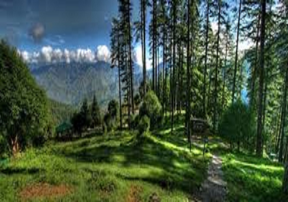 Dhanaulti Monsoon Package - TrvMe