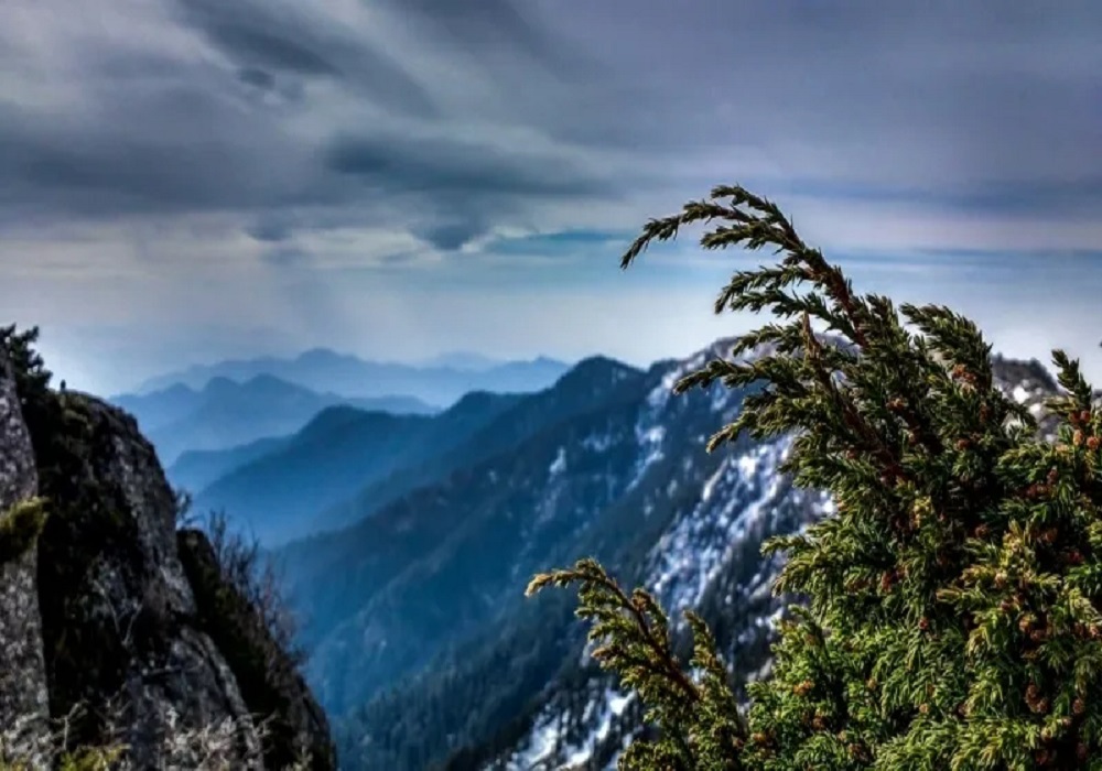 Nahan Friends Tour - TrvMe